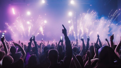 Festival flow management